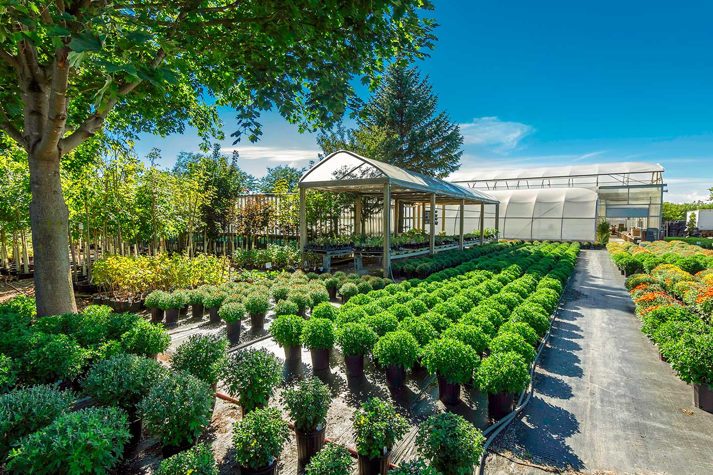 Lockyers Country Gardens